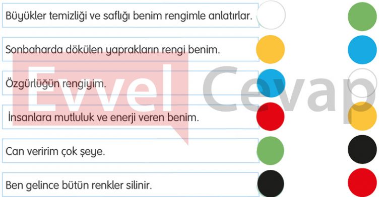 Konuşan Renkler Dinleme Metni Cevapları (4. Sınıf Türkçe) - Türkçe Ödevim
